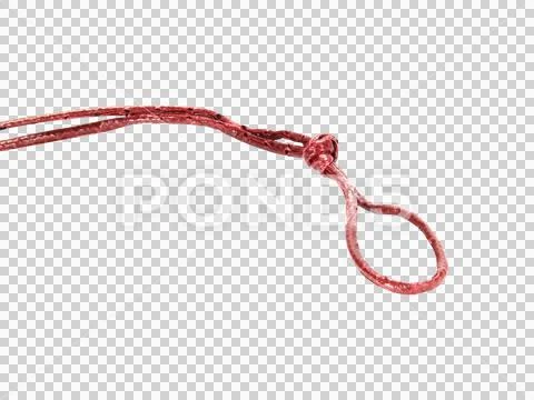 Brown leather rope tied with a small knot isolated on white background ...
