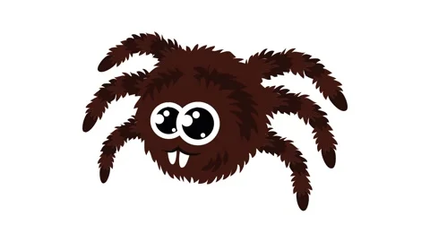Spider Icon Stock Video Footage | Royalty Free Spider Icon Videos | Pond5