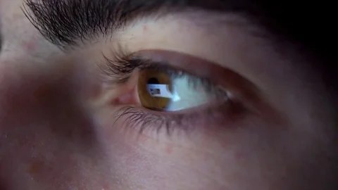 Fanfilm4K Media Stock Videos – Royalty-Free HD & 4K Videos