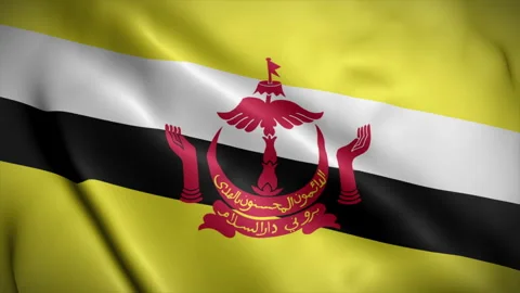 Brunei flag background realistic waving ... | Stock Video | Pond5
