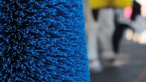 Hoof Cleaning Cow Stock Videos – Royalty-Free HD & 4K Videos | Pond5