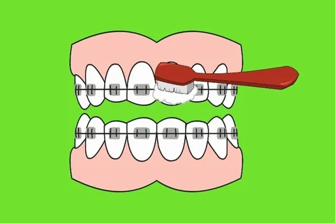 Dental Animation Stock Footage ~ Royalty Free Stock Videos | Page 8