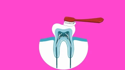 Dental Animation Stock Footage ~ Royalty Free Stock Videos | Pond5