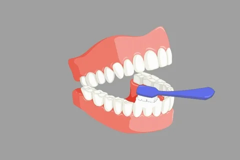 Brushing Toy Teeth - Dental Care - Vecto... | Stock Video | Pond5