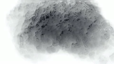 Cells Under Microscope Stock Footage ~ Royalty Free Stock Videos | Page 7