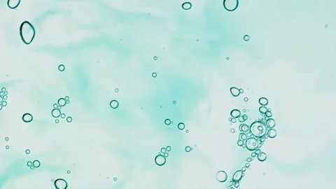 Bubble cluster, cells under a microscope... | Stock Video | Pond5