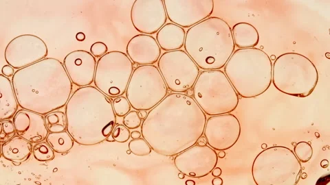Bubble cluster, cells under a microscope... | Stock Video | Pond5