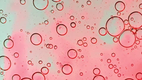 Bubble cluster, cells under a microscope... | Stock Video | Pond5