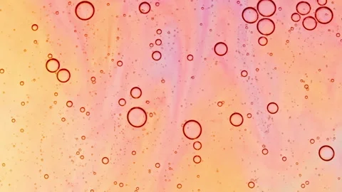 Bubble cluster, cells under a microscope... | Stock Video | Pond5