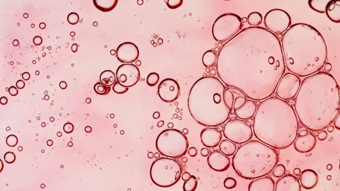 Bubble cluster, cells under a microscope... | Stock Video | Pond5
