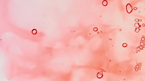 Bubble cluster, cells under a microscope... | Stock Video | Pond5