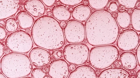 Bubble cluster, cells under a microscope... | Stock Video | Pond5
