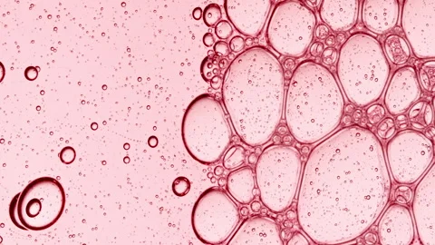 Bubble cluster, cells under a microscope... | Stock Video | Pond5