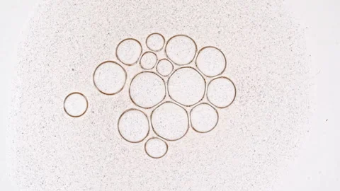 Bubble cluster transparent, cells under ... | Stock Video | Pond5