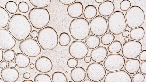 Bubble cluster transparent, cells under ... | Stock Video | Pond5