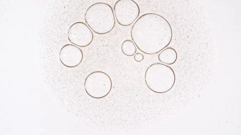 Bubble cluster transparent, cells under ... | Stock Video | Pond5