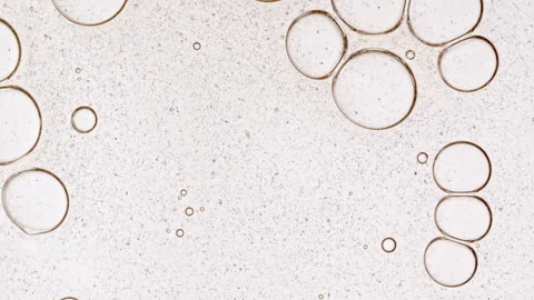 Bubble cluster transparent, cells under ... | Stock Video | Pond5