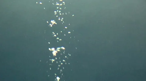 bubble rising from sea of bottom | Stock Video | Pond5