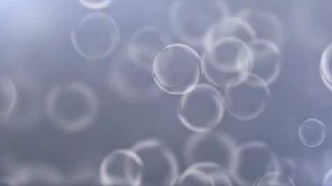 Round Up Wnes Stock Videos – Royalty-Free HD & 4K Videos | Pond5