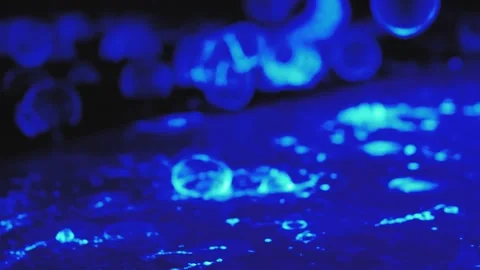 Soapy Rain Drop Stock Videos – Royalty-Free HD & 4K Videos