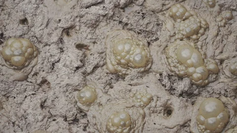 Bubbles formed during the production of ... | Stock Video | Pond5