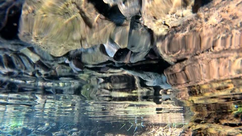Bubbling spring, clean drinking water fr... | Stock Video | Pond5