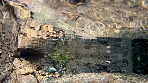 Bubbling spring, clean drinking water fr... | Stock Video | Pond5