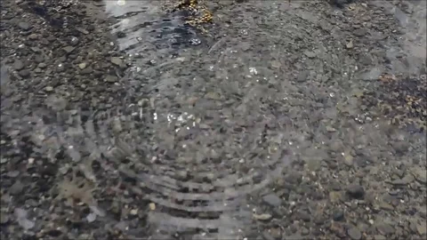 Rising Groud Stock Videos – Royalty-Free HD & 4K Videos | Pond5