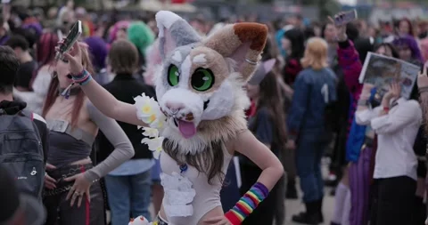 Fanime Con 2025 Stock Videos – Royalty-Free HD & 4K Videos