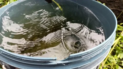 A Bucket full of water shaking due to wa... | Stock Video | Pond5