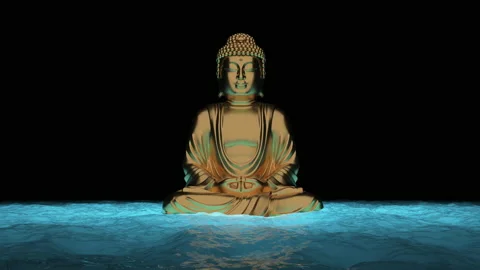 Sea Monk Stock Videos – Royalty-Free HD & 4K Videos