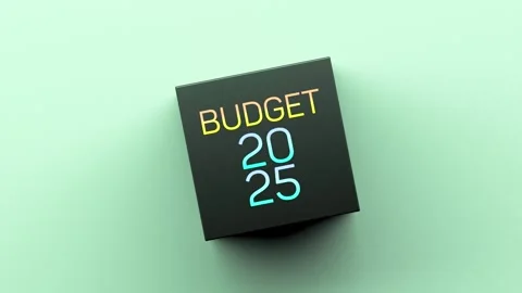 BUDGET 2025. Budget for 2025 text,cube,a... | Stock Video | Pond5