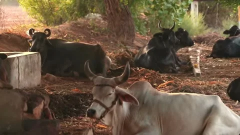 Tabela Stock Footage ~ Royalty Free Stock Videos | Pond5