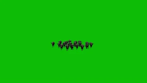 Buffalo Stampede Green Screen Animation ... | Stock Video | Pond5