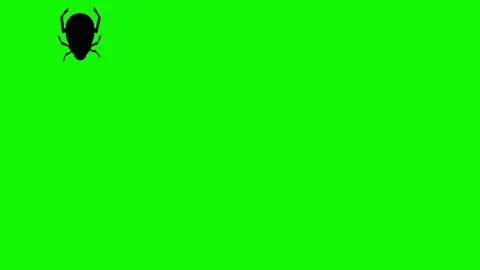Bug walking animation on green screen ch... | Stock Video | Pond5