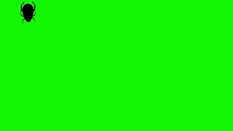 Bug walking animation on green screen ch... | Stock Video | Pond5