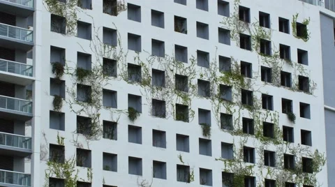 Fagr Background 4K Stock Videos – Royalty-Free HD & 4K Videos