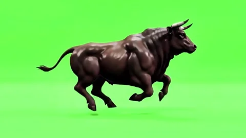 Green Screen Cow Stock Video Footage | Royalty Free Green Screen Cow ...