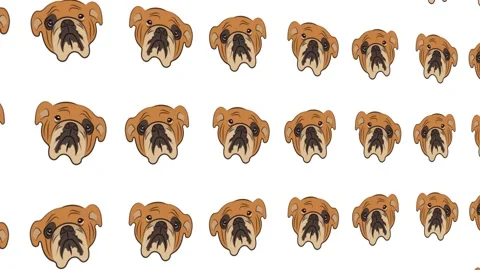 Bull Head Decoration Stock Videos – Royalty-Free HD & 4K Videos