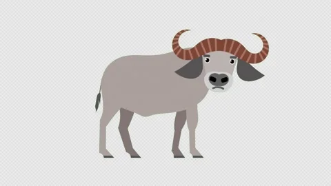 bull icon loop Animation video transpare... | Stock Video | Pond5