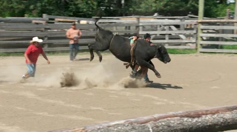 Rodeo Clown Stock Video Footage | Royalty Free Rodeo Clown Videos | Pond5