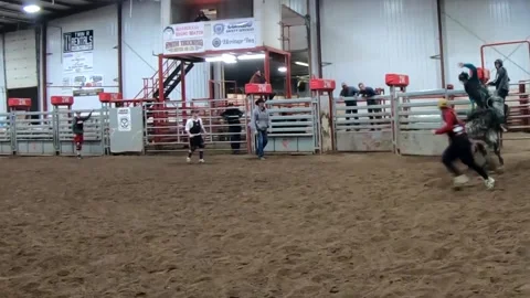 Bull riders practice riding bulls inside... | Stock Video | Pond5