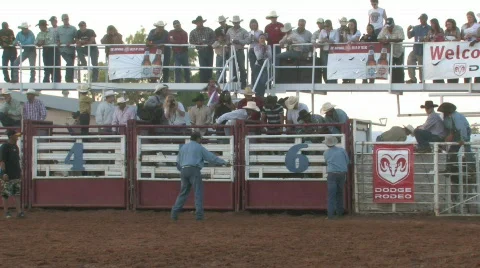 Bull Attack Stock Footage ~ Royalty Free Stock Videos | Pond5