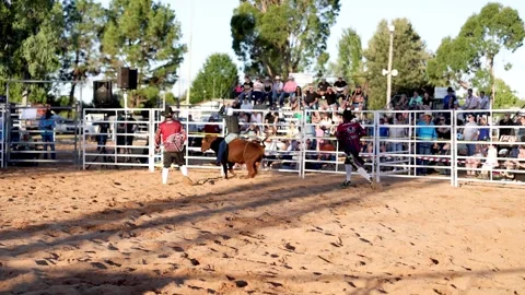 Bull Riding Arena Stock Videos – Royalty-Free HD & 4K Videos