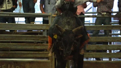 Bull Riding Arena Stock Videos – Royalty-Free HD & 4K Videos