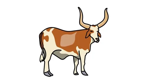 Bull Animated Stock Footage ~ Royalty Free Stock Videos | Pond5