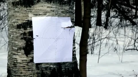Bullet Hole Paper Stock Video Footage | Royalty Free Bullet Hole Paper ...