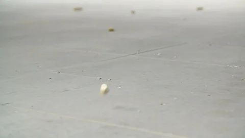 Bullet Shells Falling Stock Footage ~ Royalty Free Stock Videos | Pond5