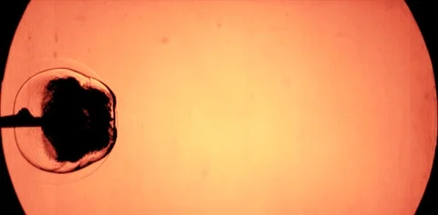 Expanding Bullets Stock Videos – Royalty-Free HD & 4K Videos