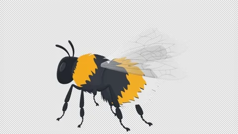 Bumblebee. Animation of a bumblebee inse... | Stock Video | Pond5